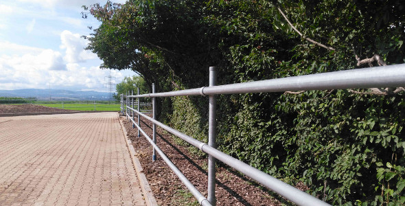 Pferde in der Herde - Unsere Hof